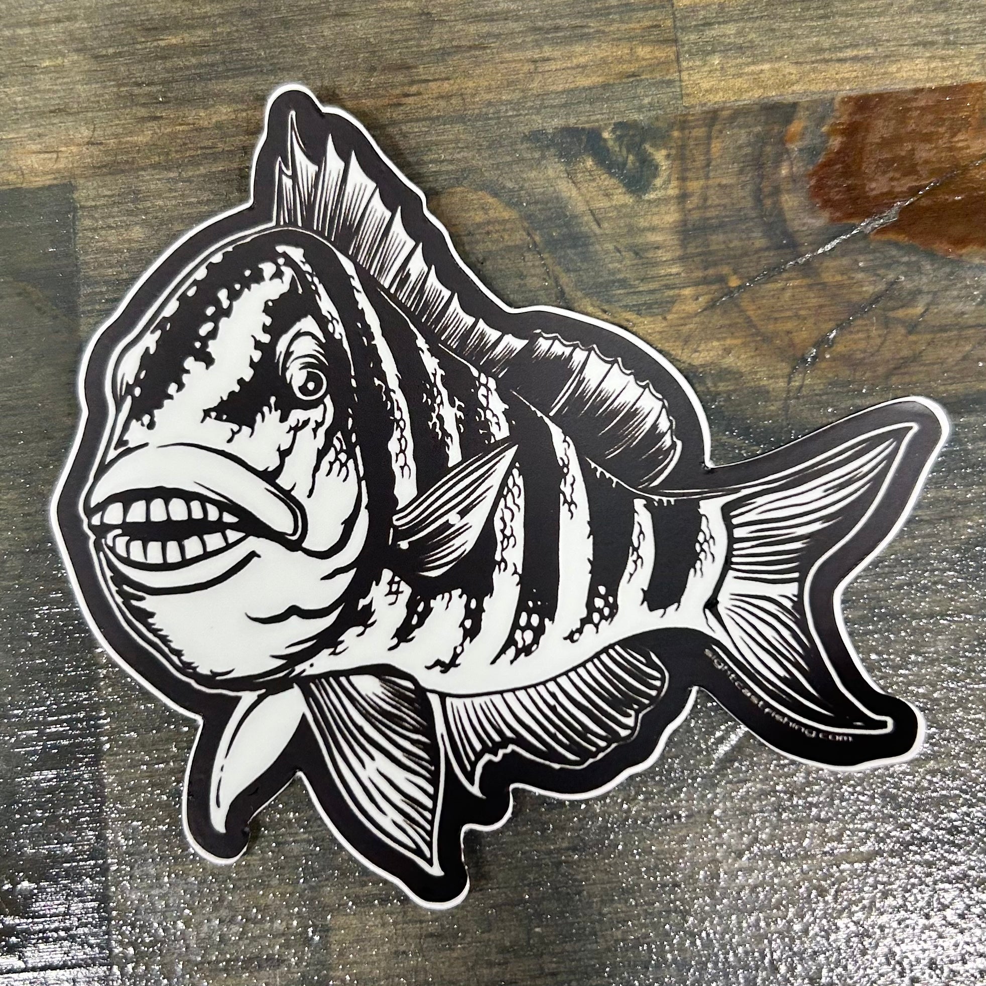 Sight cast sheepshead sticker